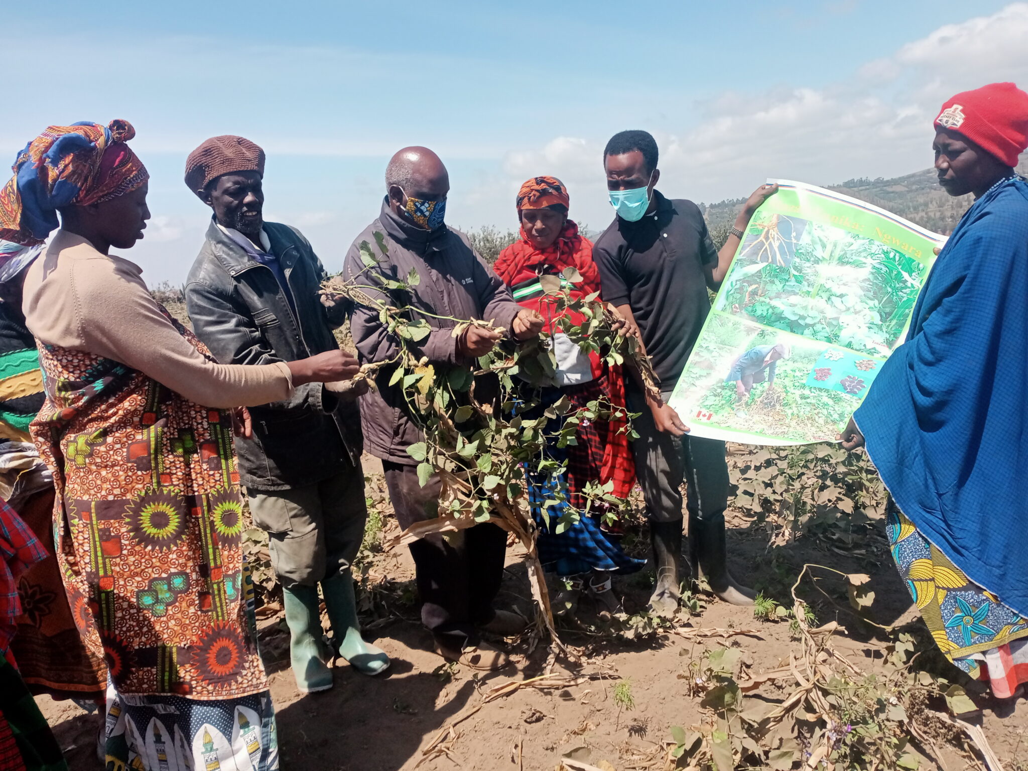 About Us – Samaritan Initiative Organization